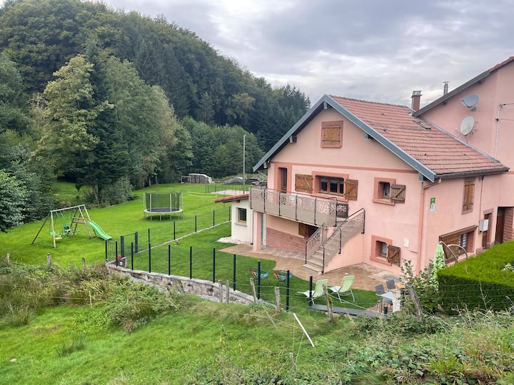Gite Neuf De L'ancien Moulin  Proche Gérardmer  . - Vosges