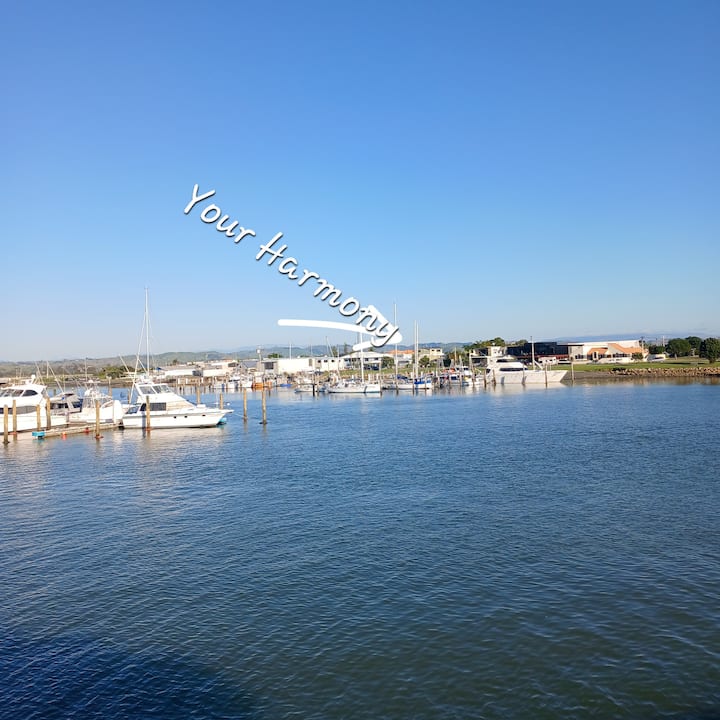 Harmony - Perfect Place To Be Active Or Relax - Napier, New Zealand