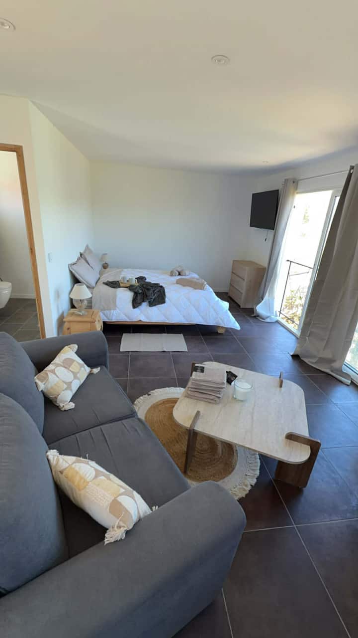 Loft (Suite Parentale) Climatisé. - Asco