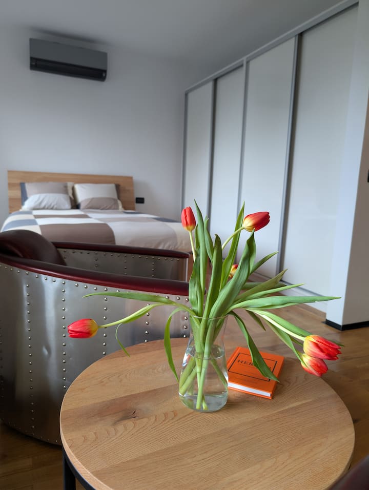 Boutique Apartment With Private Garden - Județul Satu Mare
