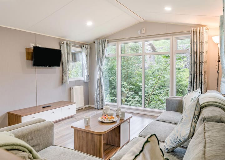 Gold Premium Caravan With Parking & Decking - Lizard