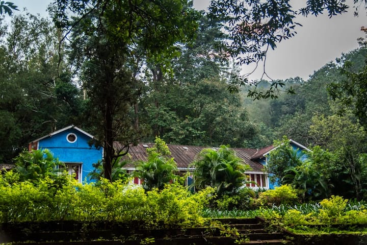 Wild Flower Homestay - Family Room - Dandeli