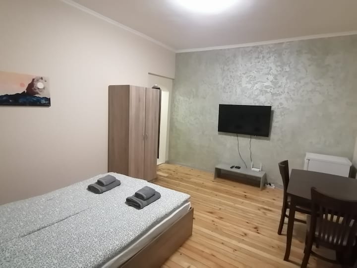 Central Apartment In The Heart Of Sofia - Sofia