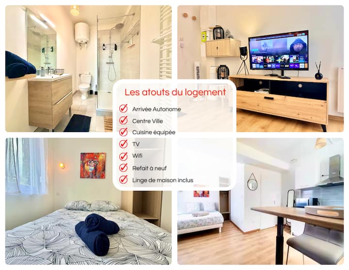 * Cosy Pamiers * Centre Ville - Wifi - Pamiers