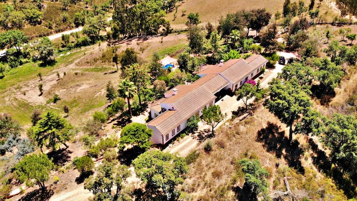 Monte Labarito - Petra House - Country House - Alentejo