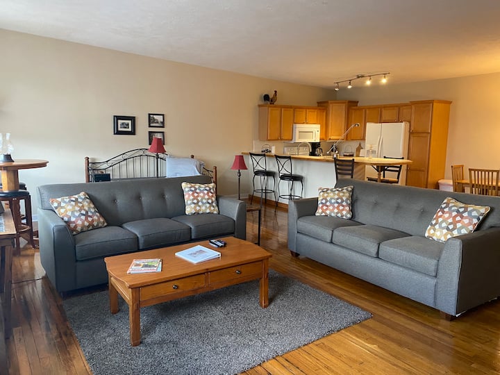 Downtown Ludington! Above It All- Walk To Lake Mi - Ludington, MI