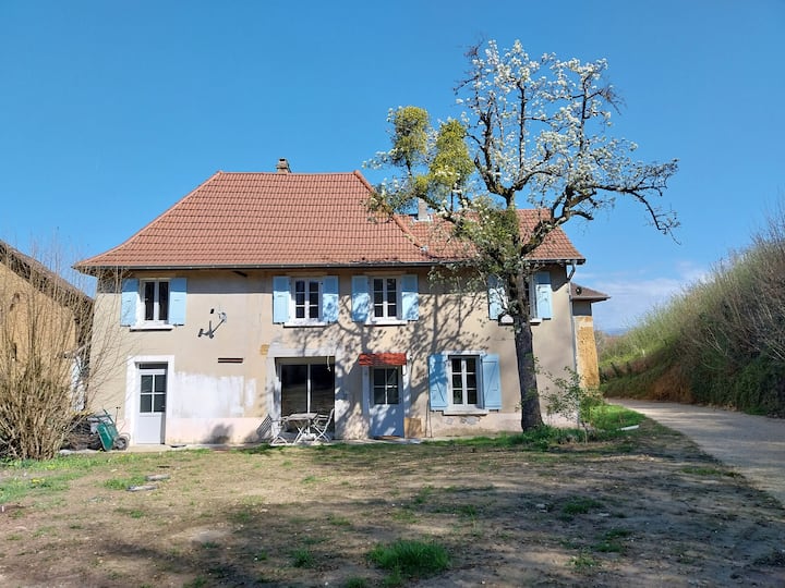 Au Vieux Poirier - Morestel