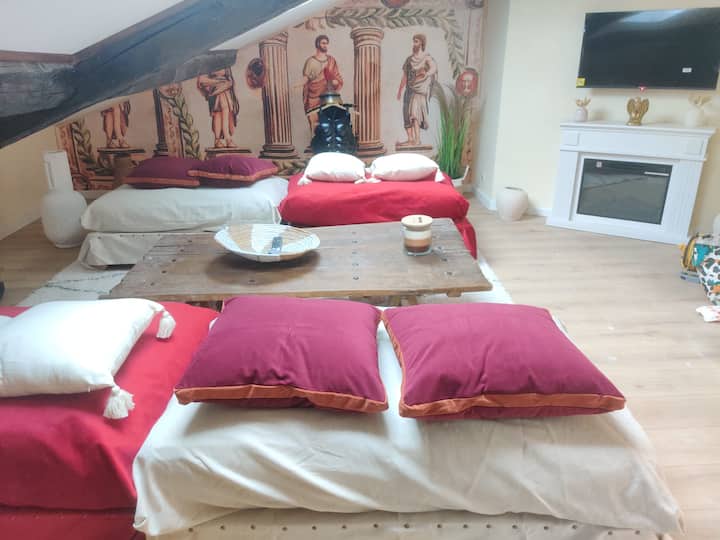 Apt Romain - Vue Arenes - Terrasse - Ecusson - Nîmes