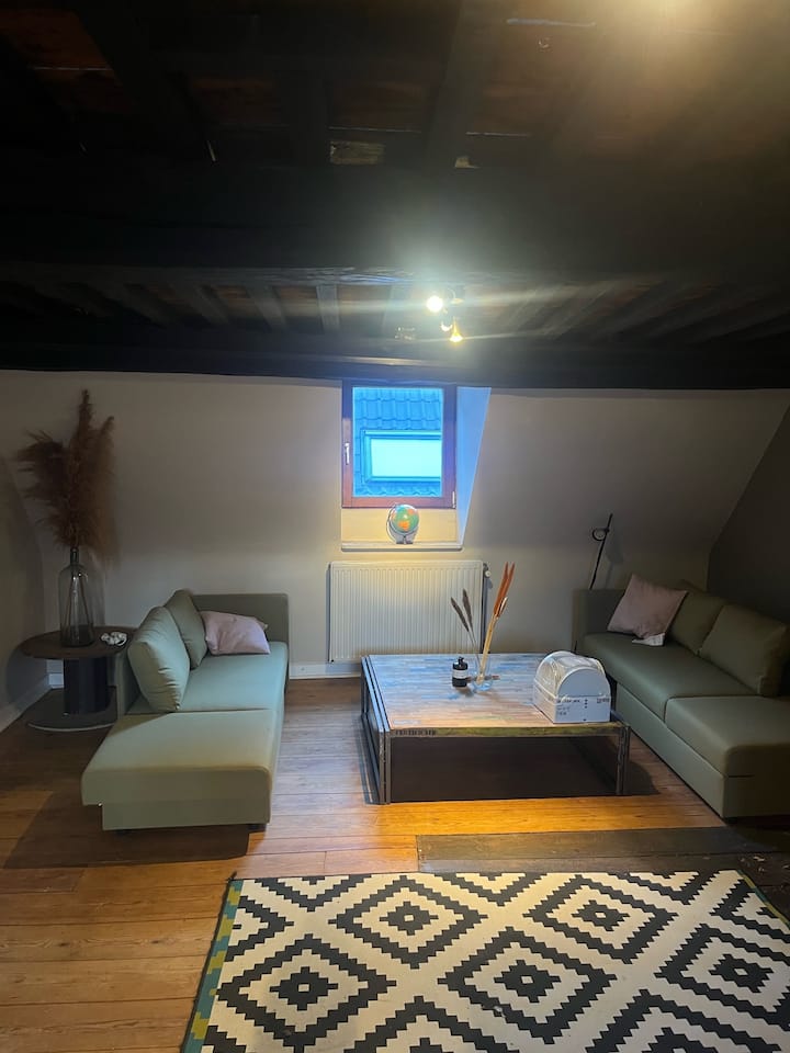 Duplex En Plein Centre Ville Historique De Liège - Liegi