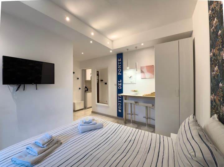 Suite Del Ponte - Varese