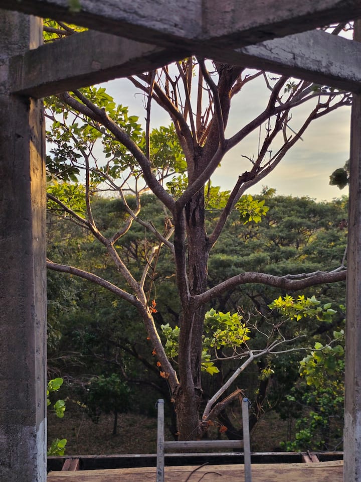 Lumberjack Resort - San Juan del Sur