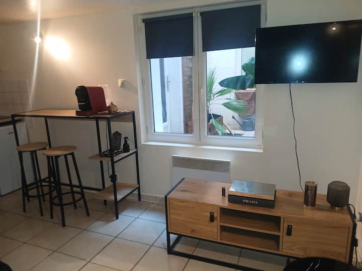 Appartement Minimaliste Centre-ville De Roubaix - Roubaix