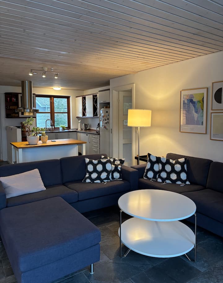 Rummeligt Og Hyggeligt Hus Tæt På Skov Og Strand - Hirtshals