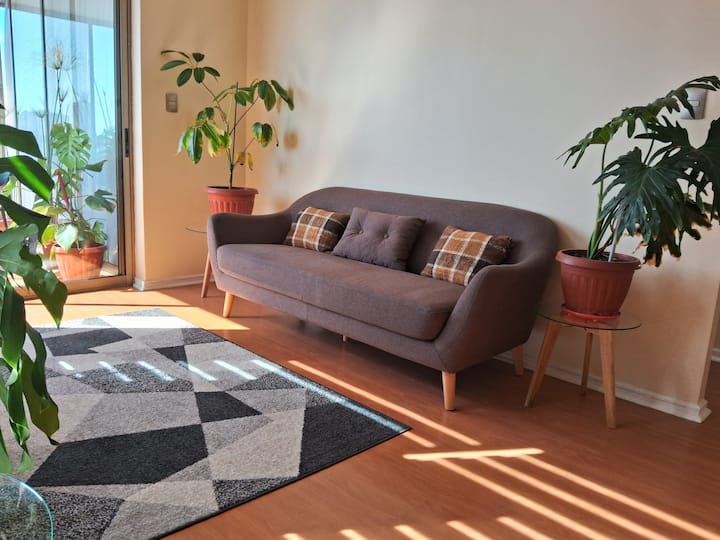 Amplio Departamento A Pasos De Av. Arturo Prat. - Iquique