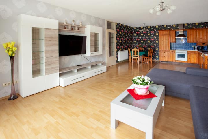 Xxl Komfort Business Apartment - Wifi - Parking - Kreuzwertheim