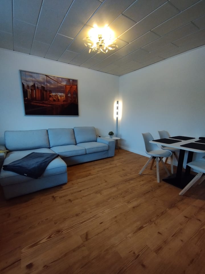 Frisch Saniertes Apartment Am Falderapark - Neumünster