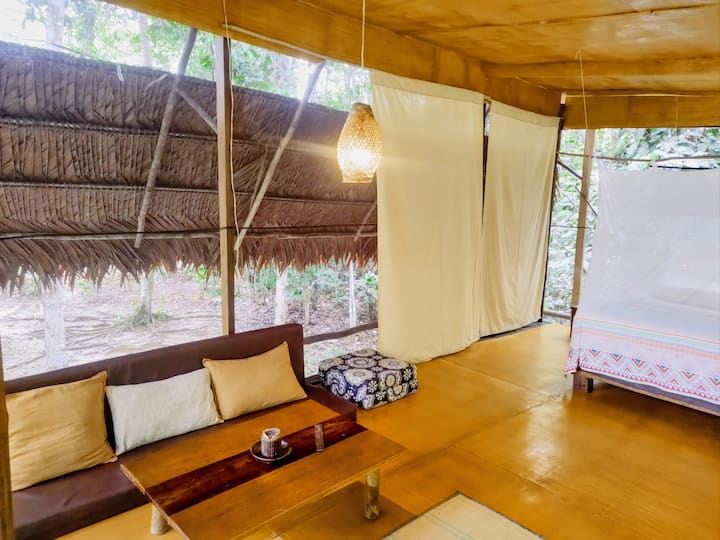 Panoramic Flat - Nauta