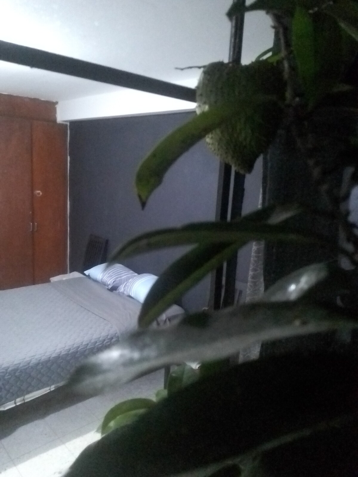 Un endroit idéal pour votre séjour, Zárate Sjl, Lima. - Appartements à ...