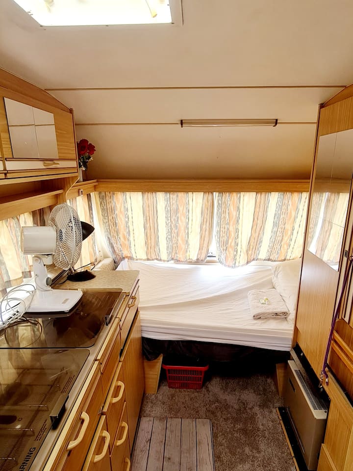 Oh Girls Just Wanaka-ravan - Wanaka