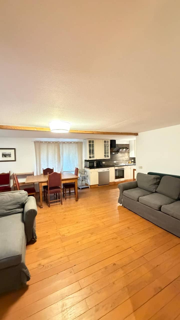 Große Wohnung Für Gruppen/familien Gute Lage/ Elbe - Dresden