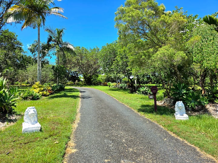 Narangba Acreage Escape - Dayboro
