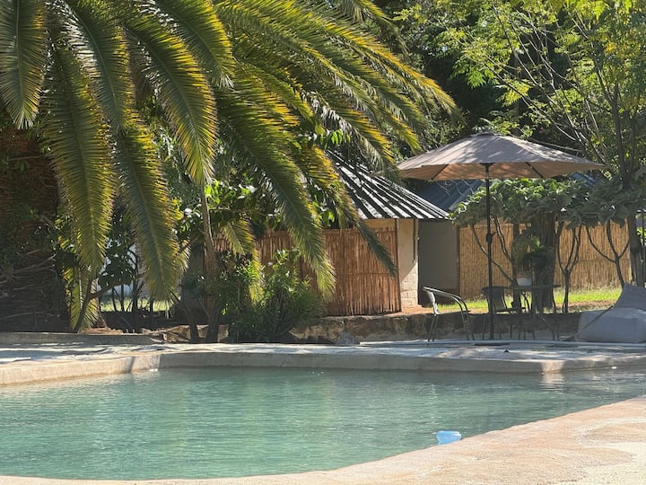 Seid Manor Wellness & Healing Retreat - Hartbeespoort