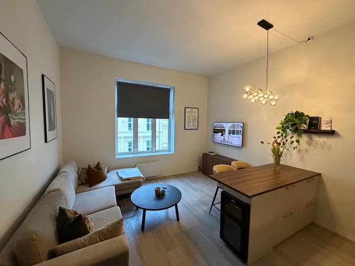 Sentral Leilighet I Vika Rett Ved Aker Brygge - Oslo