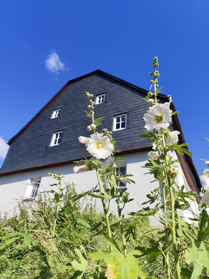 Süd1 - Ruhe Zwischen Mosel Und Hunsrück - Beilstein