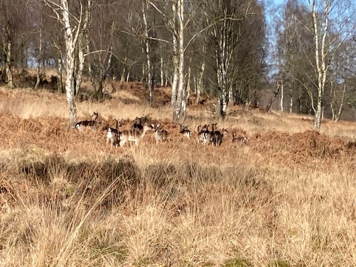 En-suite Private Room Brocton Village - Stafford, UK