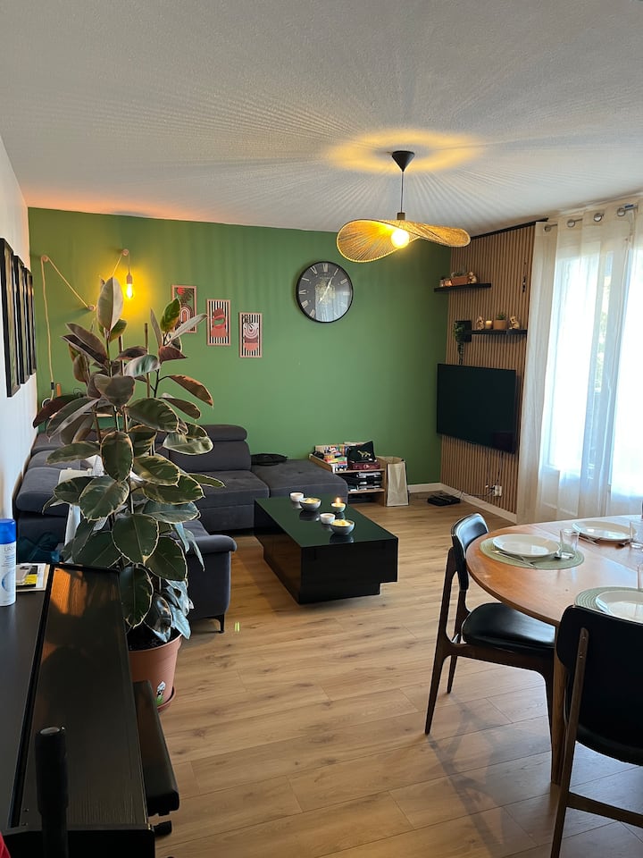 Appartement Cosy Et Moderne. - Pau