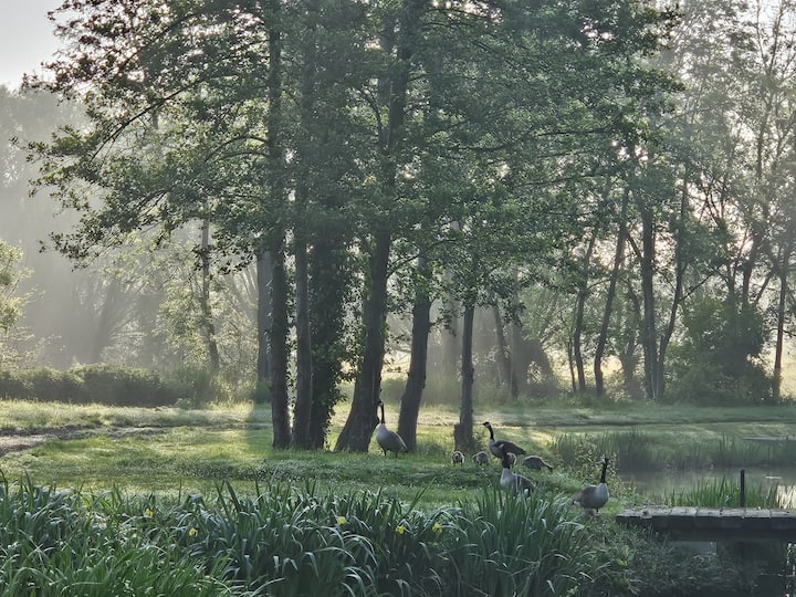 Verblijf 27: Een Fantastisch Zicht Op De Vijver - Enghien