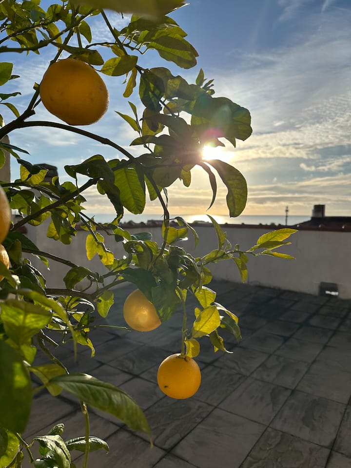 Ceriale Terrazza Blu - Ceriale