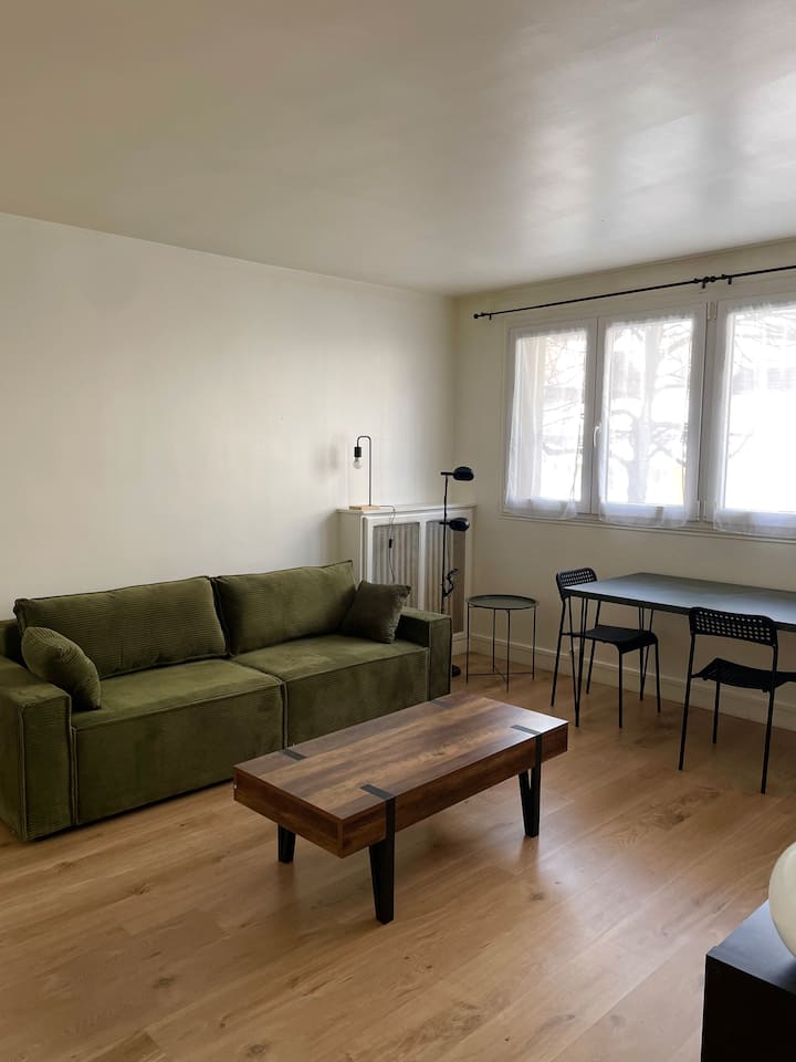 Appartement 2 Pièces Lumineux à Maisons-alfort - Maisons-Alfort