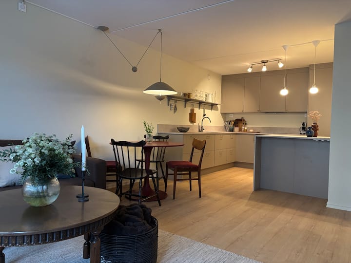 Romslig Leilighet På Koselige Kampen - Oslo