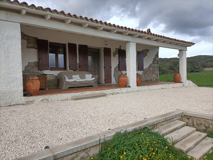 Funtana 'E Caddos Apartment - Monti