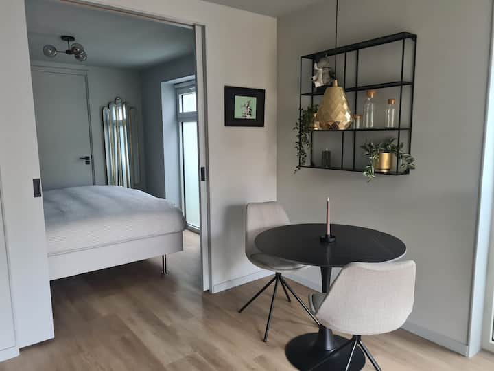 Studio 30 M² Gratis Parkeren Rai / Schiphol - Amsterdam
