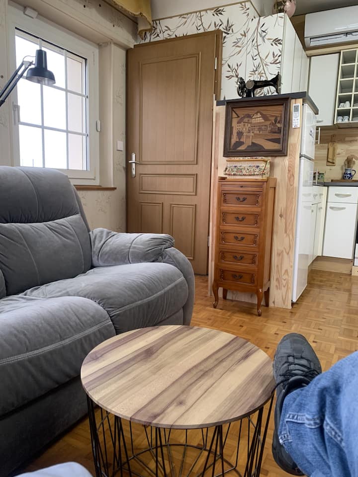 Atelier Couture Vue Sur Le Jardin Avec 1 Parking - Mulhouse