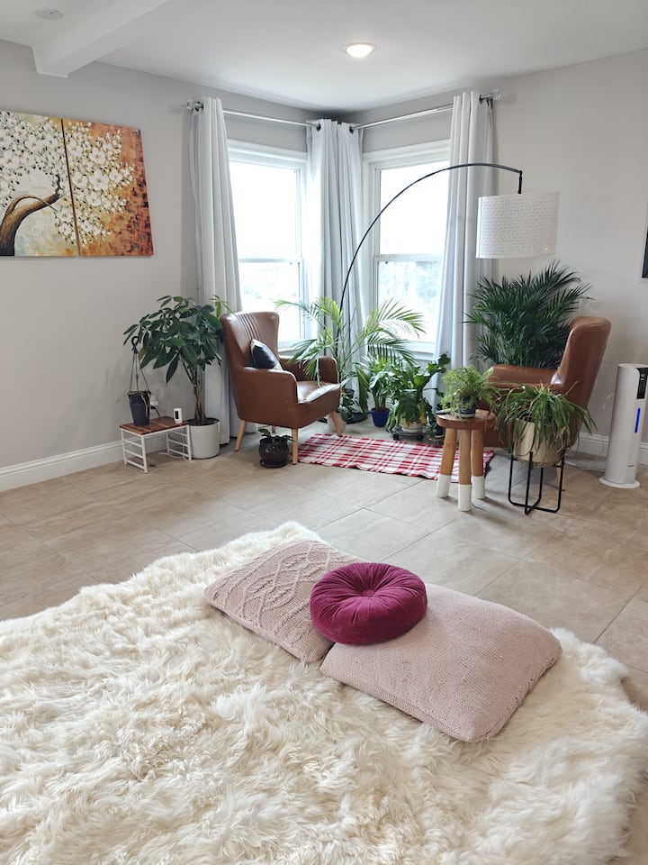 The Meadow House - Little Elm, TX