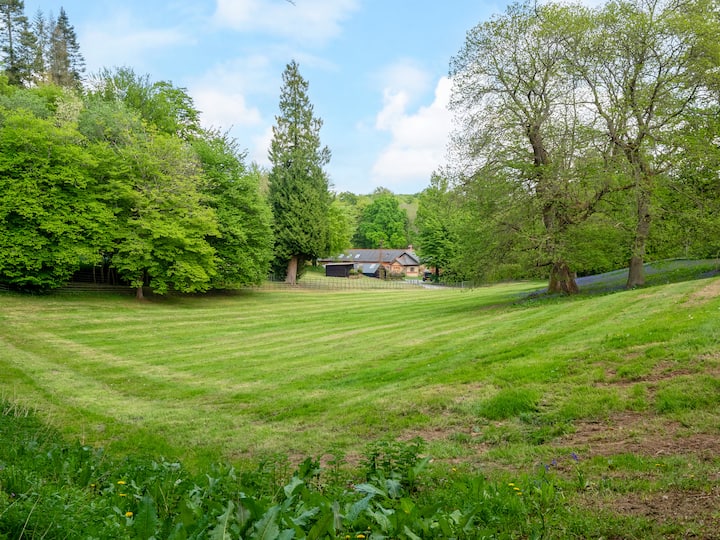 A Sanctuary, In The Surrey Hills - Shere