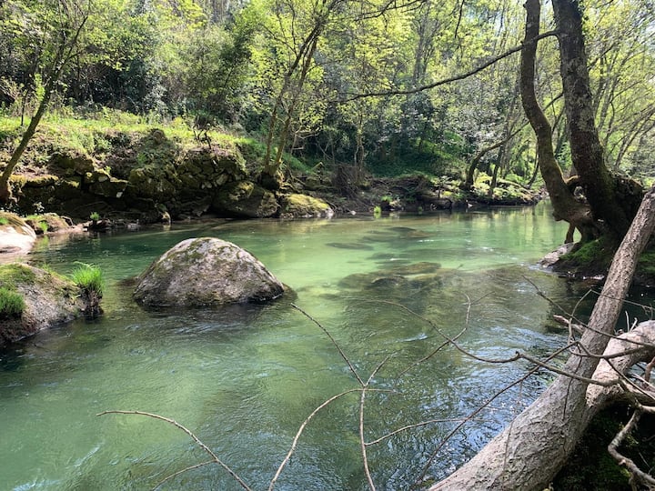 The Stillness Mill, Nature, Water & Tranquility - Fafe