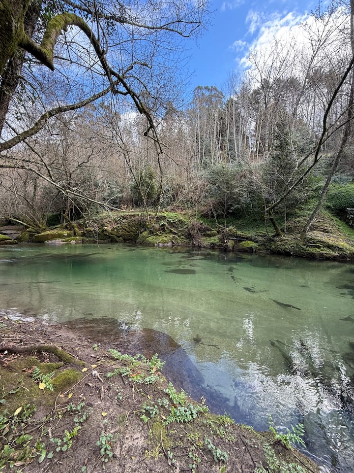 The Stillness Mill, Nature, Water & Tranquility - Fafe
