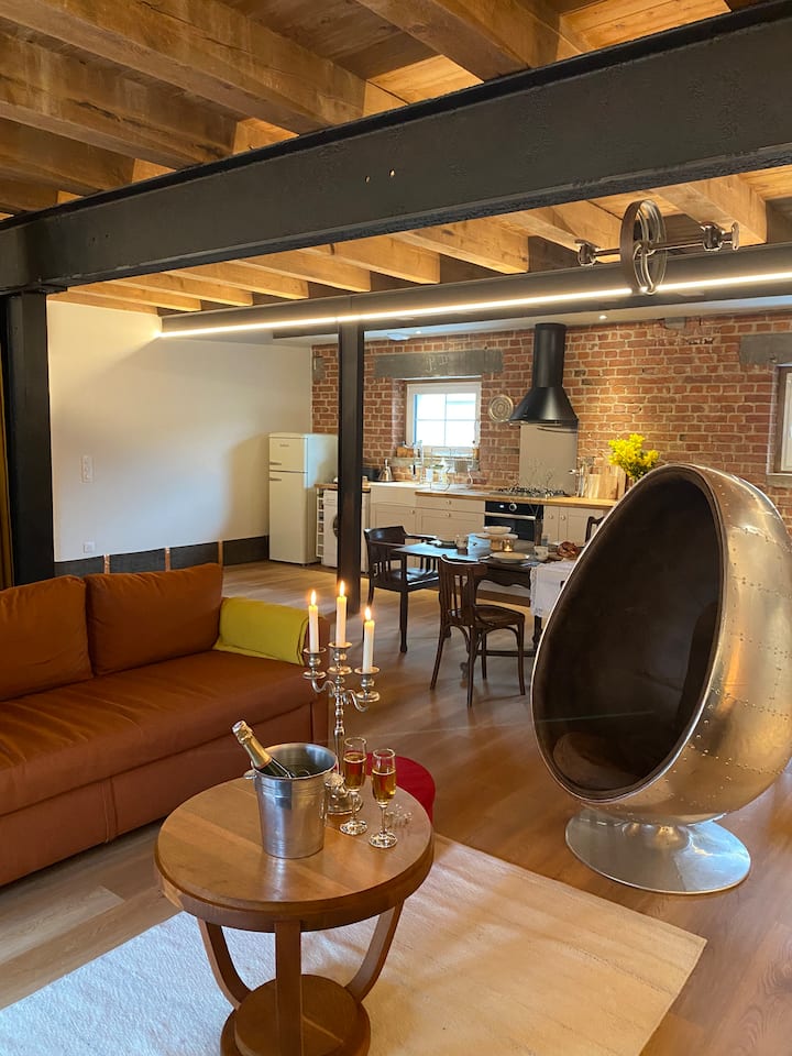 Ancien Moulin • Forêt & Rivière - Haguenau