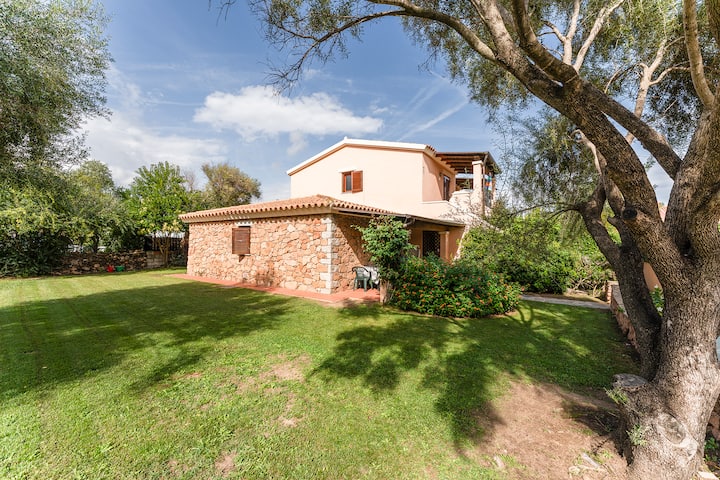 Two Bedrooms Apt For 6 People - Residenze Gallura - San Teodoro