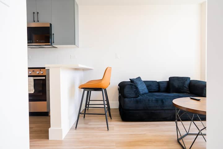 Luxury Modern Apt - Miami - Gym - South Miami, FL