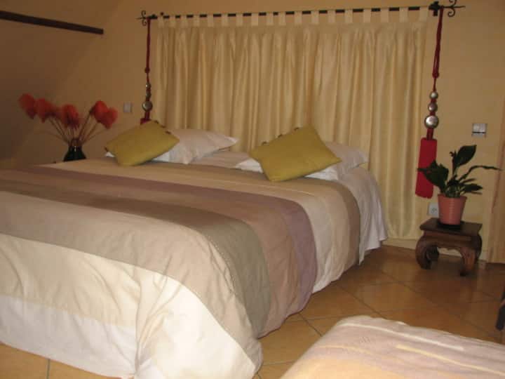 Chambre Double Supérieur "Afrique" - Lac de Paladru