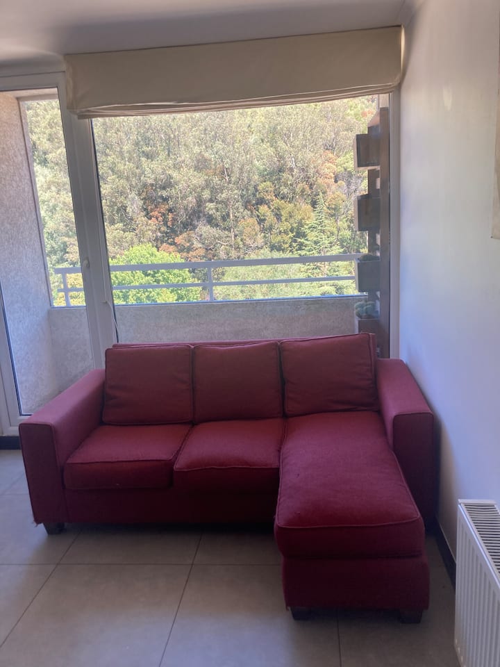 Excelente Dep. 2d2b Con Vista Al Parque Ecuador - Concepción