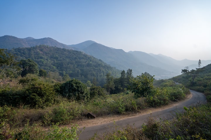 2br Cottage 4 In Araku Valley Resort By Homeyhuts - Araku Valley