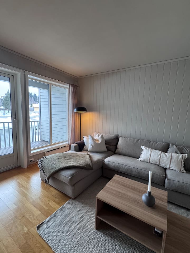 Strøken Leilighet Sentralt I Hønefoss - Jevnaker