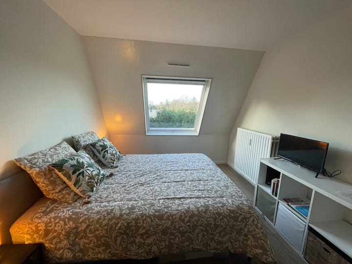 La Mascotte De Cabourg Avec Place De Parking - Cabourg