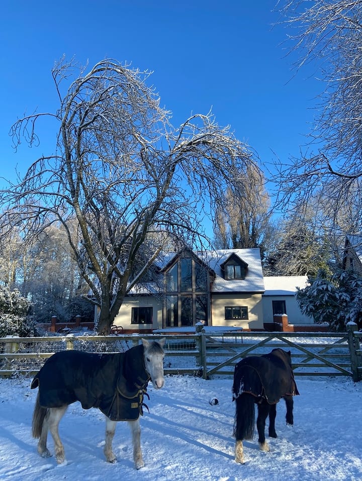 The Loft At Mulberry Lodge - Whitchurch